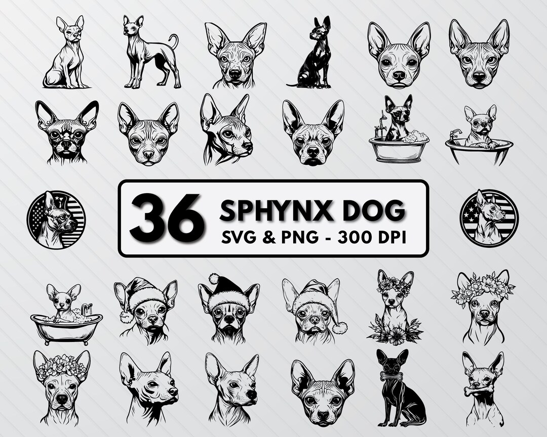 Sphynx Dog SVG Bundle: Vector Art, Clipart, Decal (PNG) - Etsy