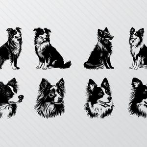 Collie Svg Bundle, Collie Dog Silhouette, Collie Puppies Png Clipart ...