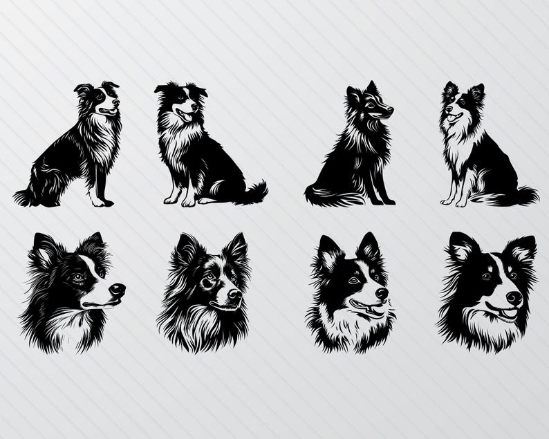 Collie Dog SVG Bundle: Silhouette Clipart, Vector Cut Files (PNG, SVG ...