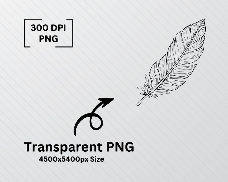 Quill PNG, Quill Silhouette SVG, Quill Vector, Quill, Quill Clipart ...