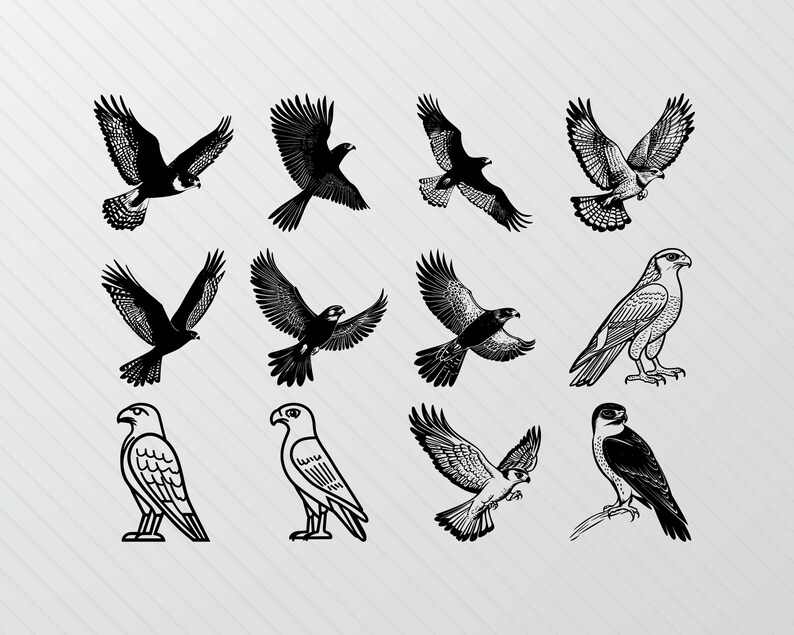 Falcon Silhouette SVG Bundle: Bird Clipart, Decal, Cricut Vector (PNG ...