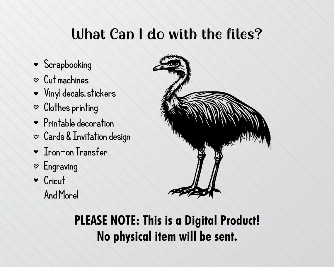 Emu Svg Cut Files, Australian Emu Silhouette Png, Emu Vector Art, Emu ...