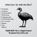 Emu SVG Cut Files: Australian Emu Silhouette PNG, Vector Art (digital ...