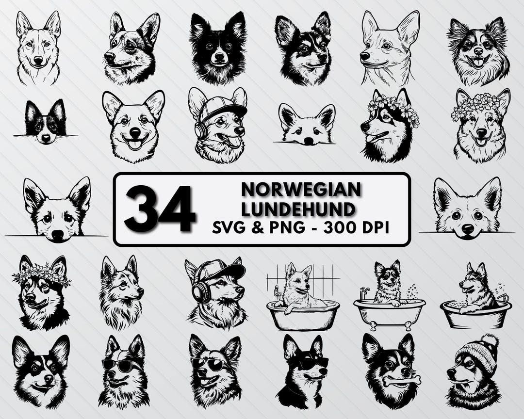 Norwegian Lundehund Svg Bundle, Norwegian Lundehund Silhouette Png, Dog ...