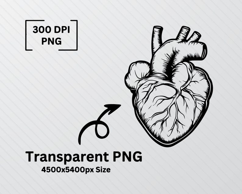 Human Heart Silhouette, Human Hearts Svg Bundle Cut File, Human Heart ...