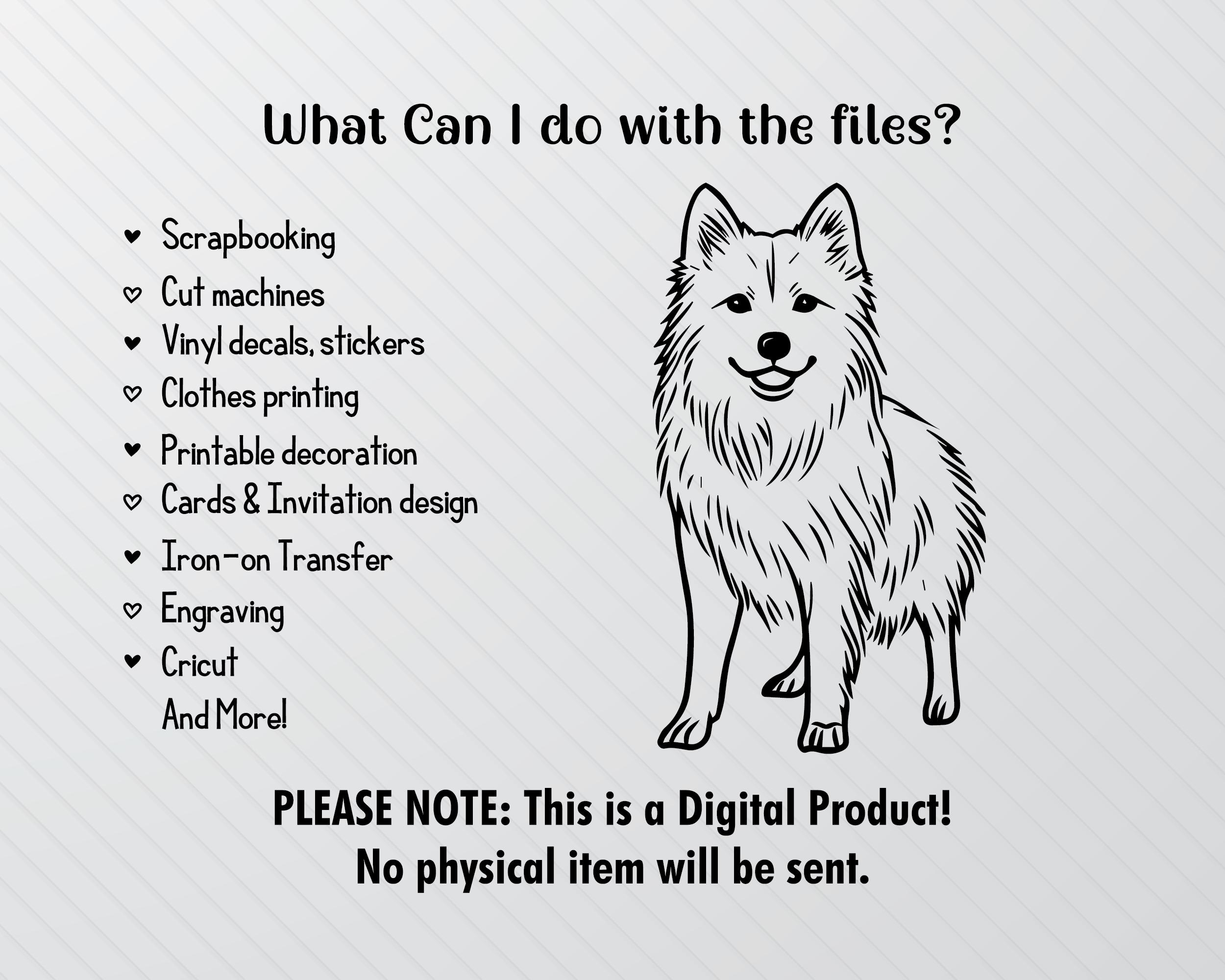 German Spitz Svg Bundle, German Spitz Dog Silhouette Svg, Dog Breeds ...