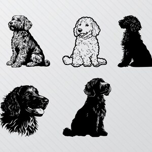 Sheepadoodle Svg Bundle, Sheepadoodle Silhouette, Sheepadoodle Puppy ...