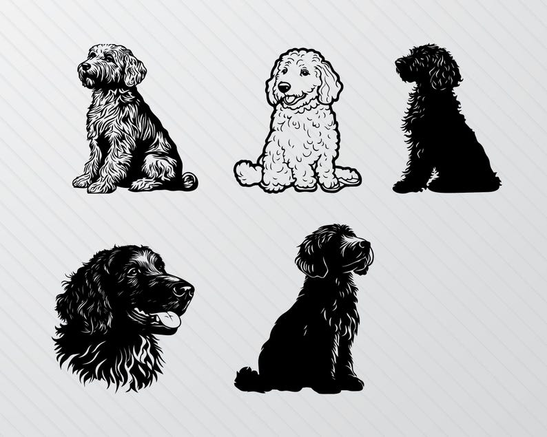 Sheepadoodle Svg Bundle, Sheepadoodle Silhouette, Sheepadoodle Puppy ...