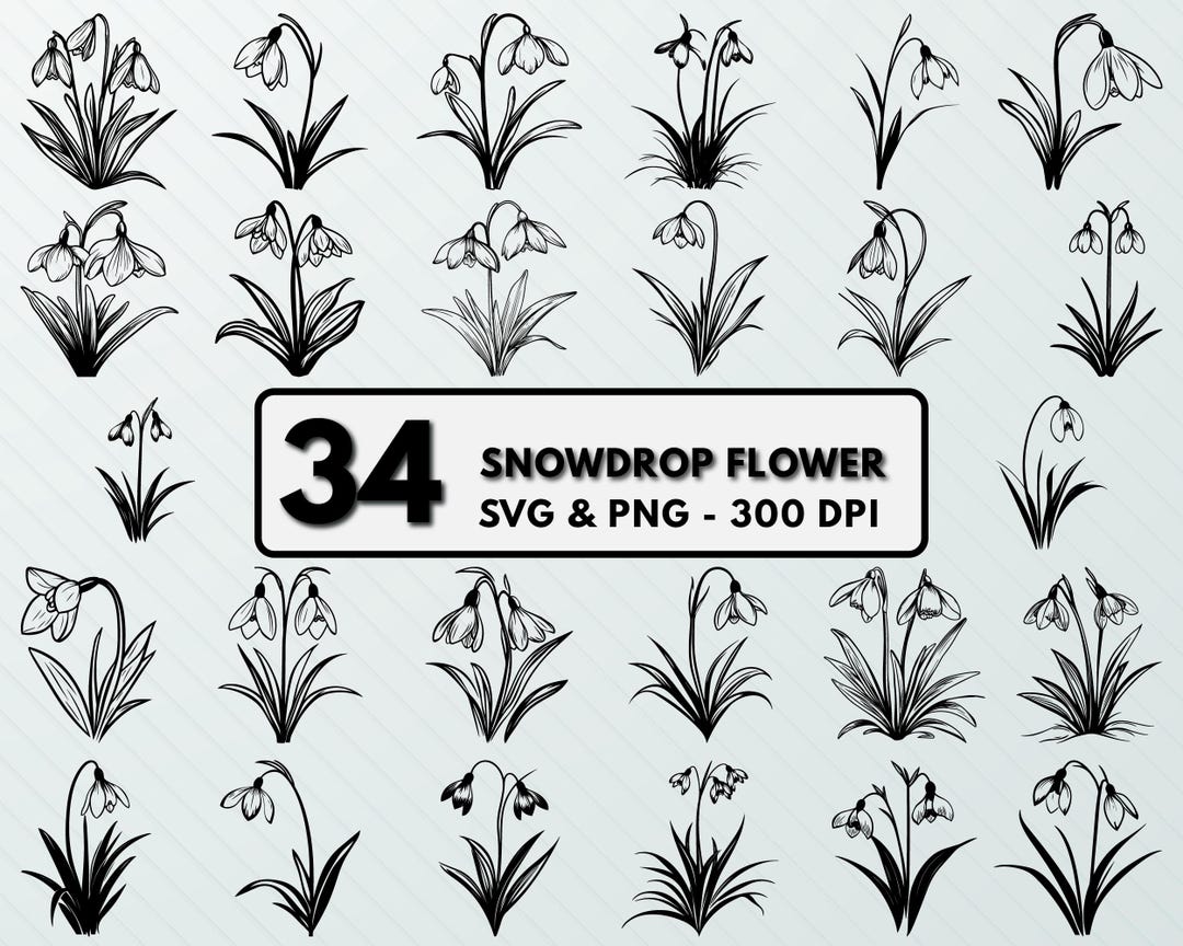 Snowdrop Flower Svg Png, Snowdrop Clipart, Snowdrop Floral Silhouette ...