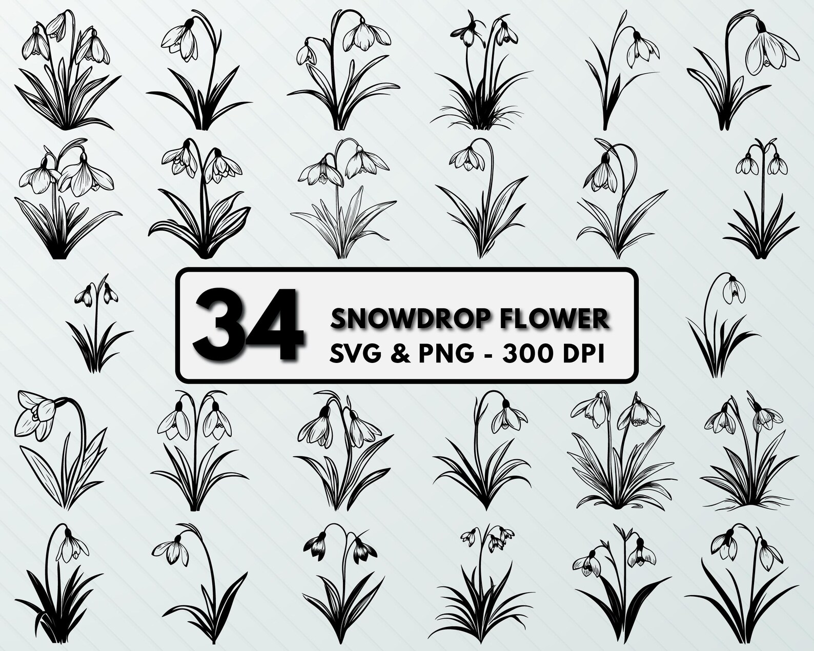 Snowdrop Flower SVG PNG: Floral Silhouette Cut File - Etsy