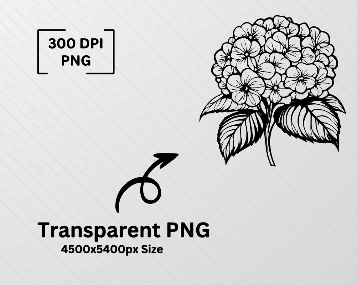 Hydrangea Flower SVG Bundle: Silhouette Clipart (PNG, Vector) - Etsy