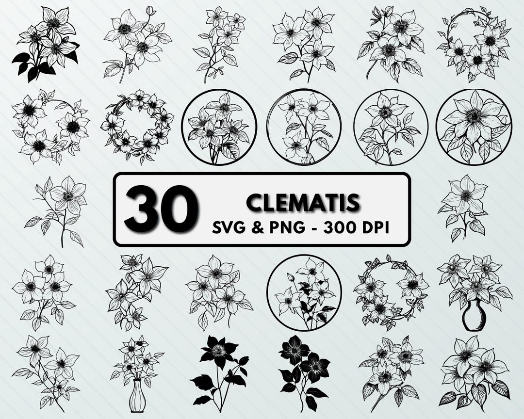 Clematis Svg Png Bundle, Clematis Silhouette, Clematis Clipart ...
