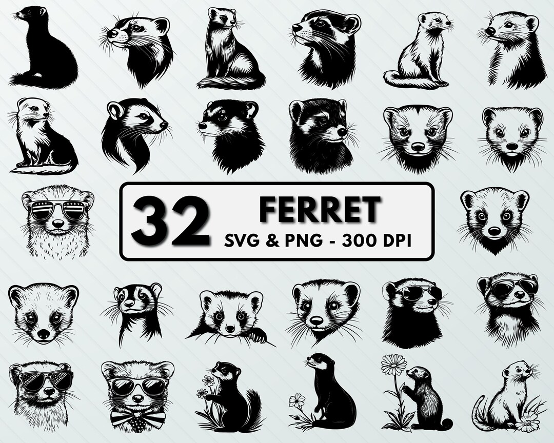 Ferret Clipart, Ferret PNG, Ferret Art, Ferret SVG, Ferret Decals ...