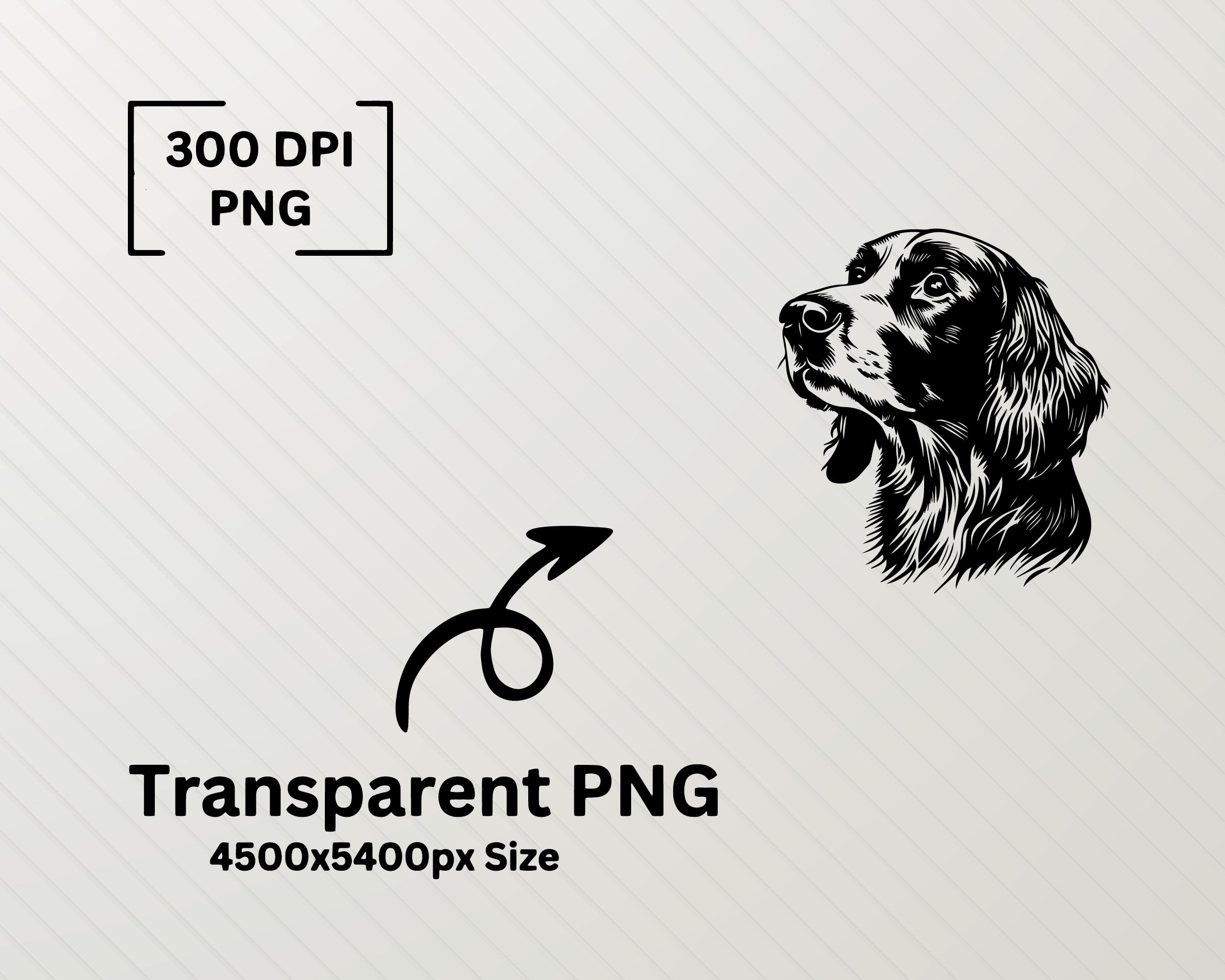 English Setter Svg Bundle, Setter Dog Silhouette, English Setter Dogs ...