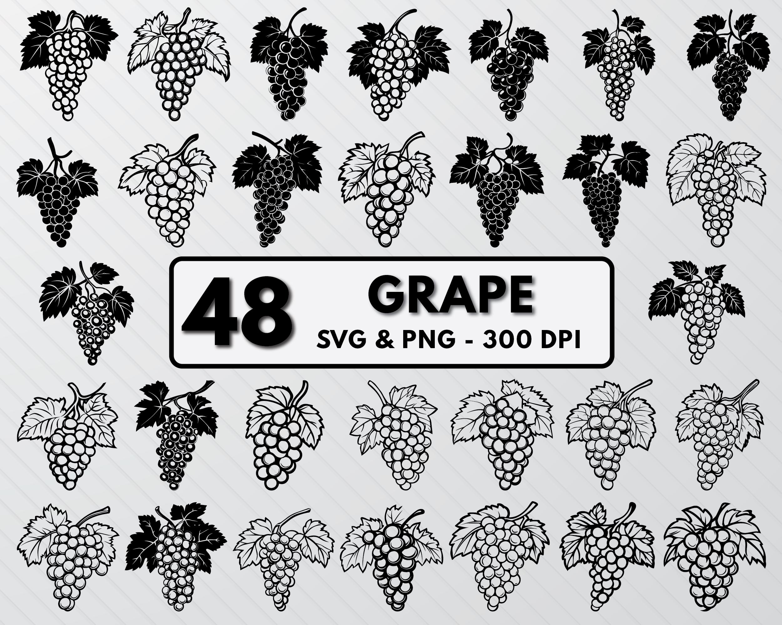 Grape Silhouette Svg, Grape Svg Bundle Cut File Cricut, Grape Outline Png, Grape Bunch Svg ...