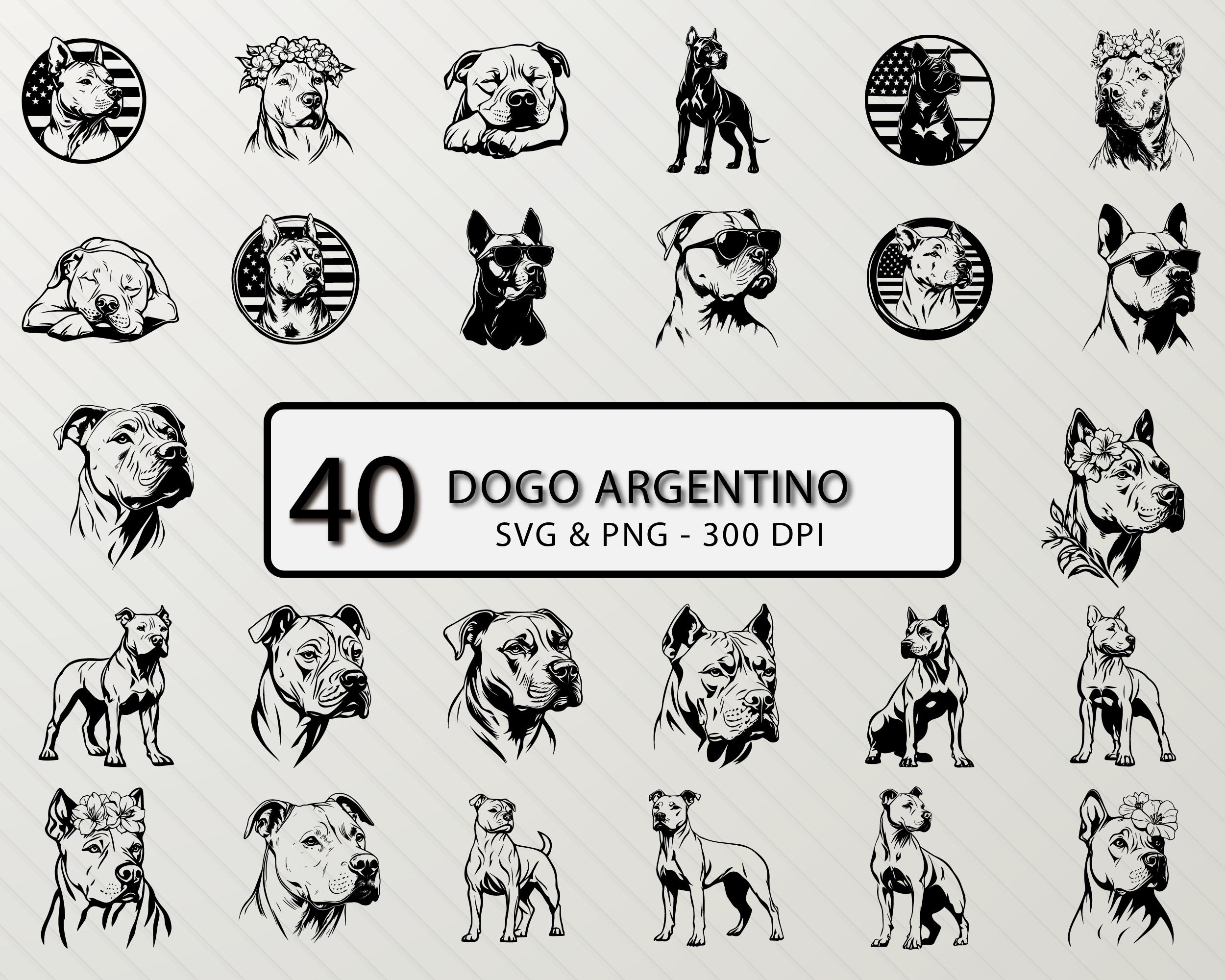 Dogo Argentino SVG Bundle: Dog Breed Clipart, Decal Outline (PNG ...