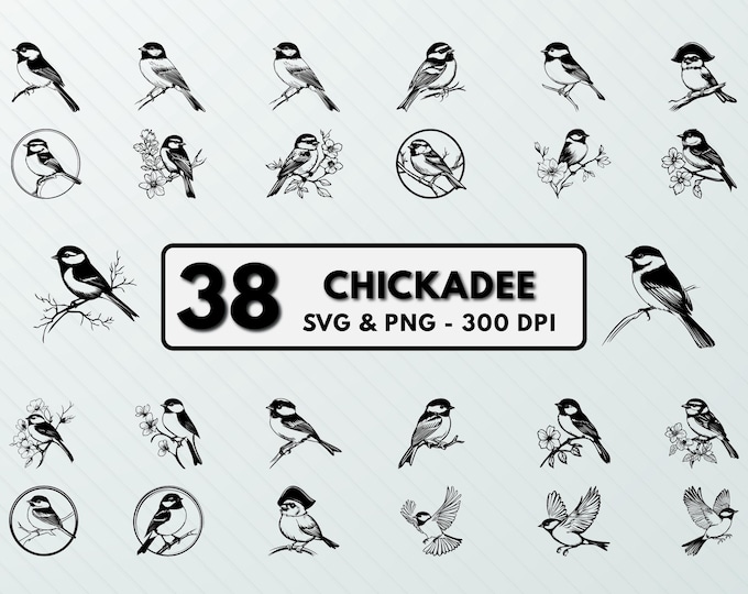 Chickadee Black Line Art: Printable Bird Illustration (PNG, JPEG ...