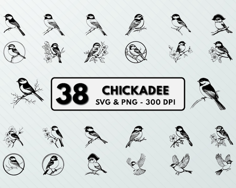 Chickadee Svg Png, Chickadee Clipart, Chickadee Silhouette, Vector ...