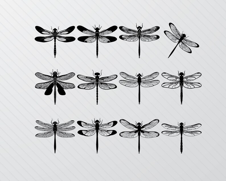 Dragonfly Silhouette Svg, Dragonfly Svg Cut File, Dragonfly Clipart ...