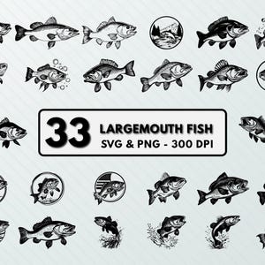Largemouth Fish Clipart Bundle: Vector Cut Files (SVG, PNG) - Etsy