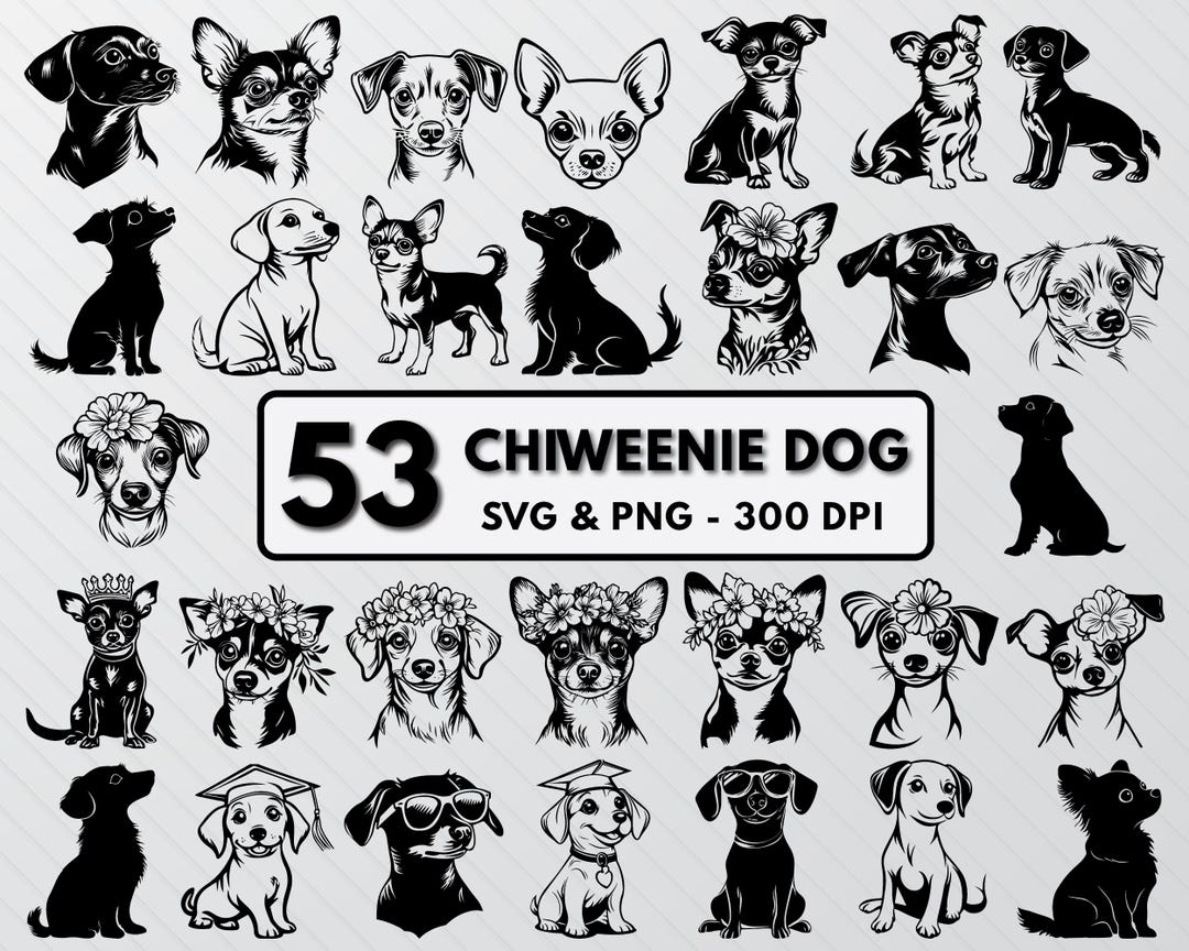 Chiweenie Svg Bundle, Chiweenie Dog Silhouette Svg, Chiweenie Cut File ...