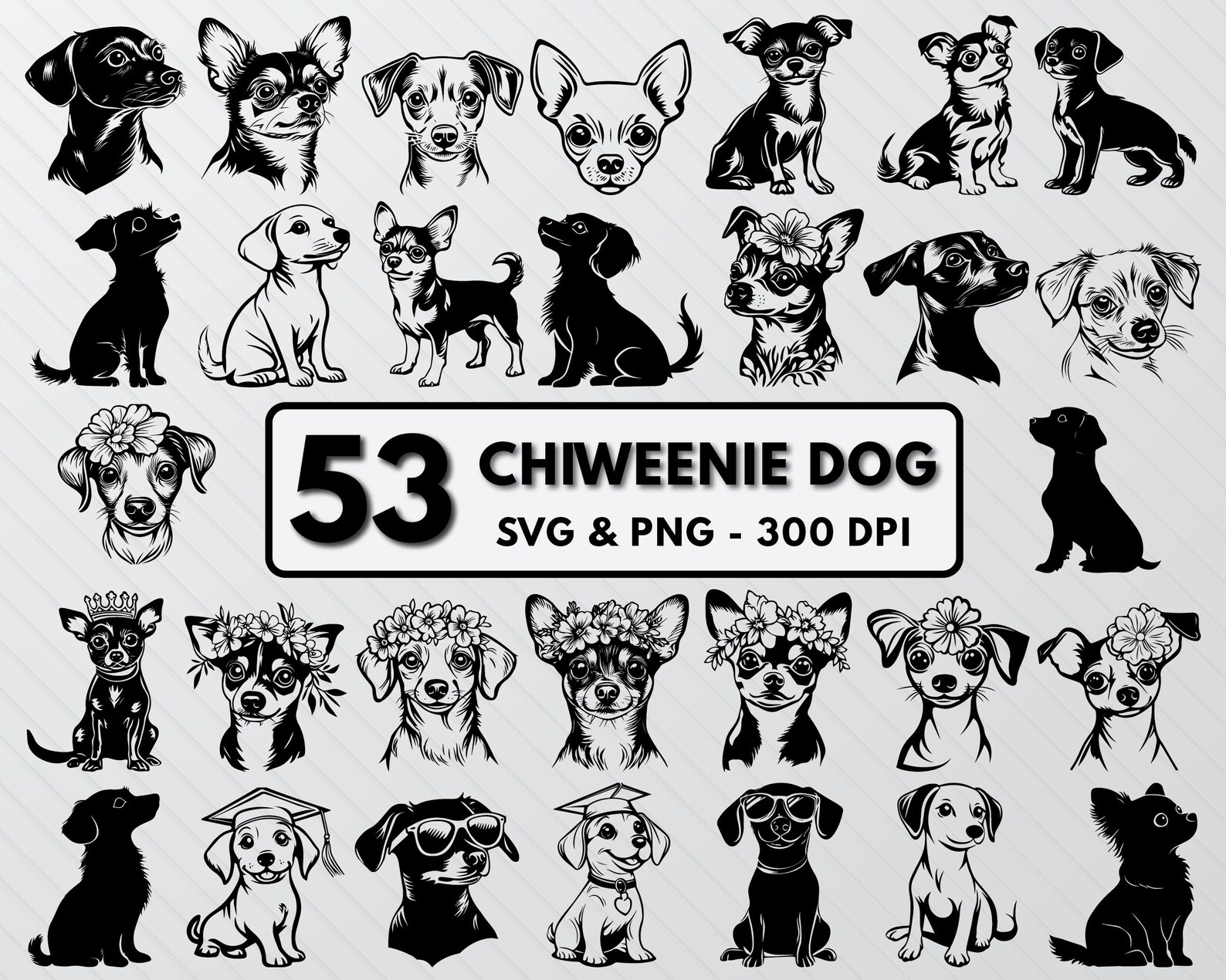 Chiweenie Svg Bundle, Chiweenie Dog Silhouette Svg, Chiweenie Cut File ...