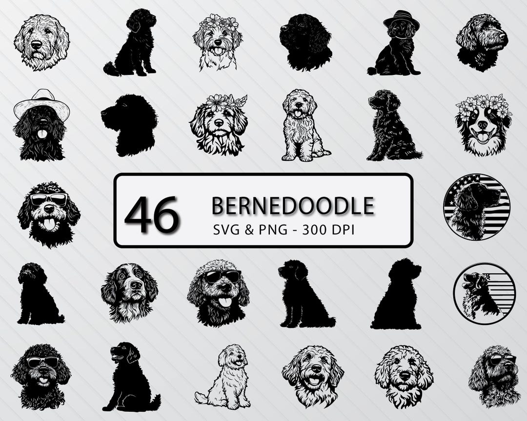 Bernedoodle Silhouette: Dog Breed Vector Art Bundle (SVG, PNG) - Etsy