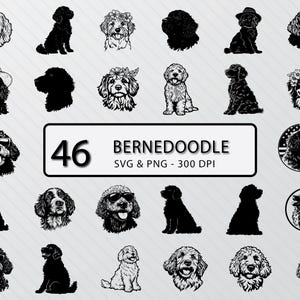 Bernedoodle Silhouette: Dog Breed Vector Art Bundle (SVG, PNG) - Etsy