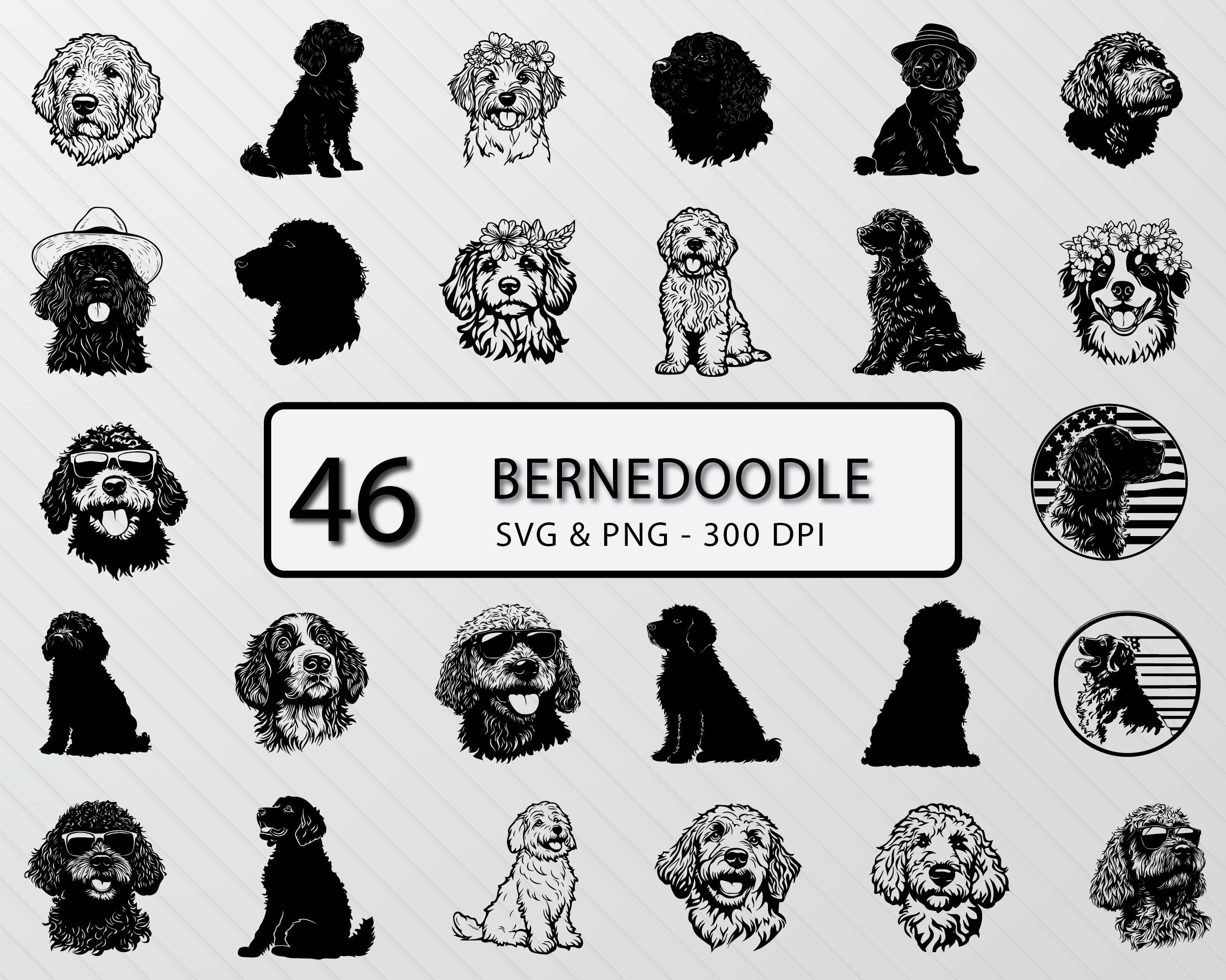 Bernedoodle Silhouette: Dog Breed Vector Art Bundle (SVG, PNG) - Etsy