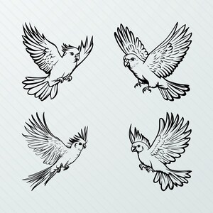 Cockatiel SVG PNG Clipart: Vector Cut Files, Decals - Etsy