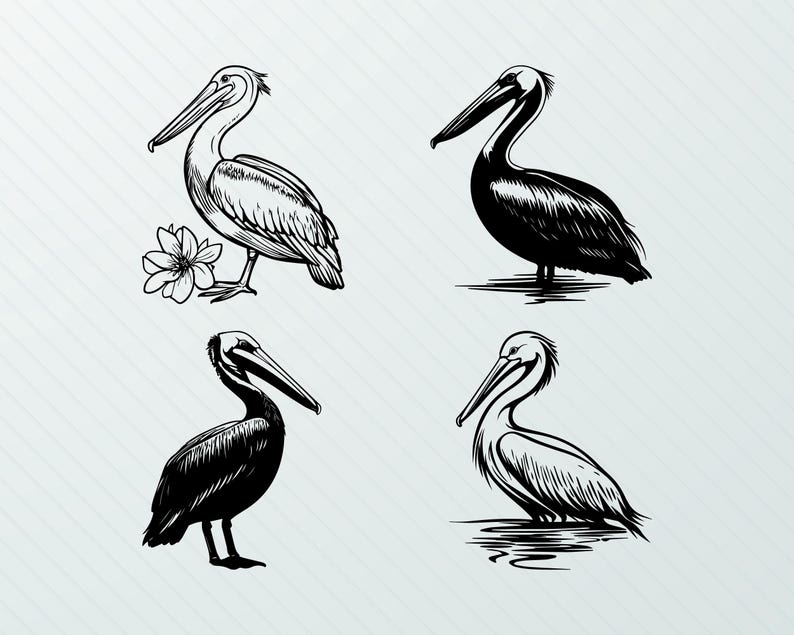 Pelican Svg Png Bundle, Pelican Clipart, Pelican Silhouette, Pelican ...