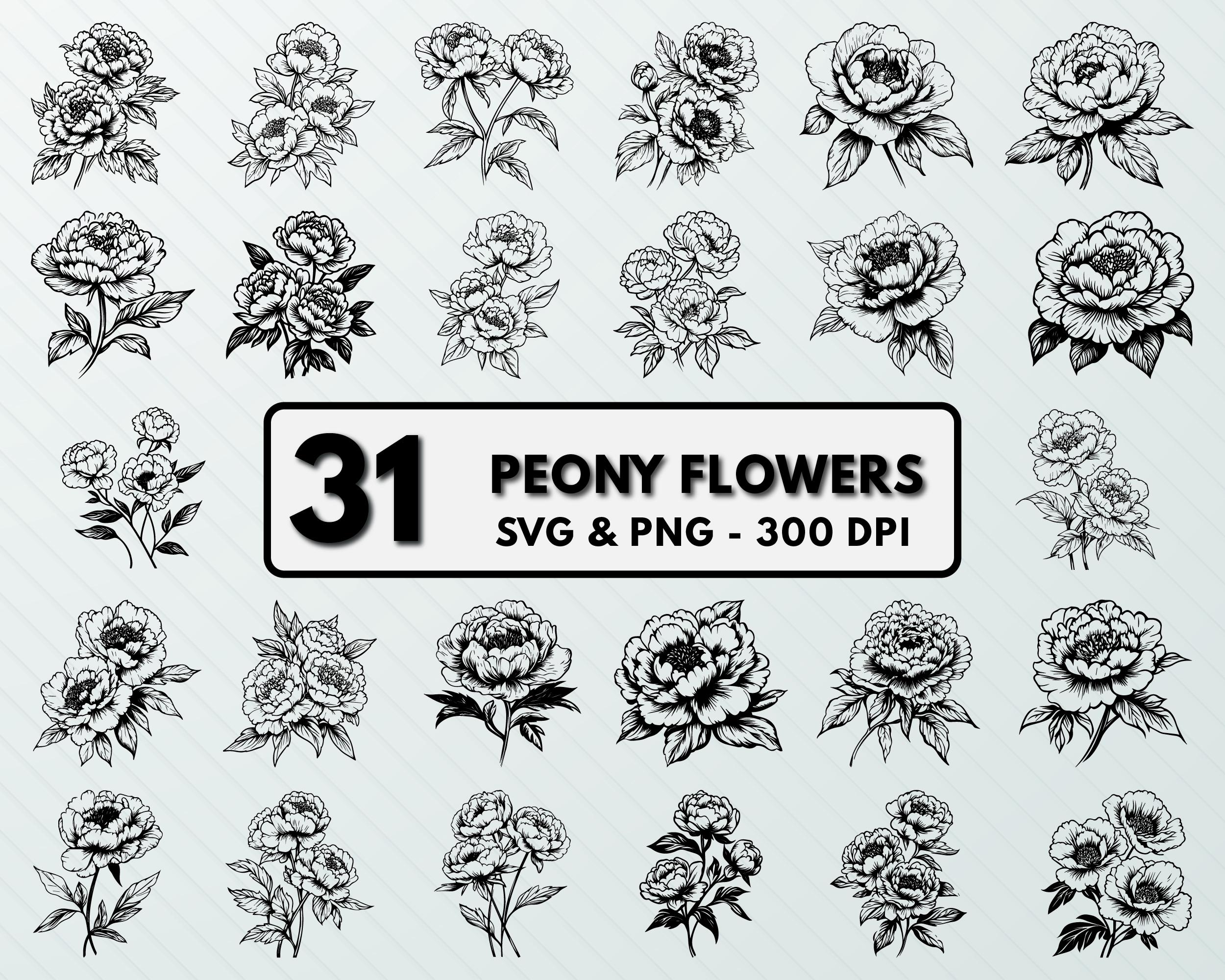 Peony Flower SVG: Floral Clipart, Vector Art, Cut Files (PNG) - Etsy