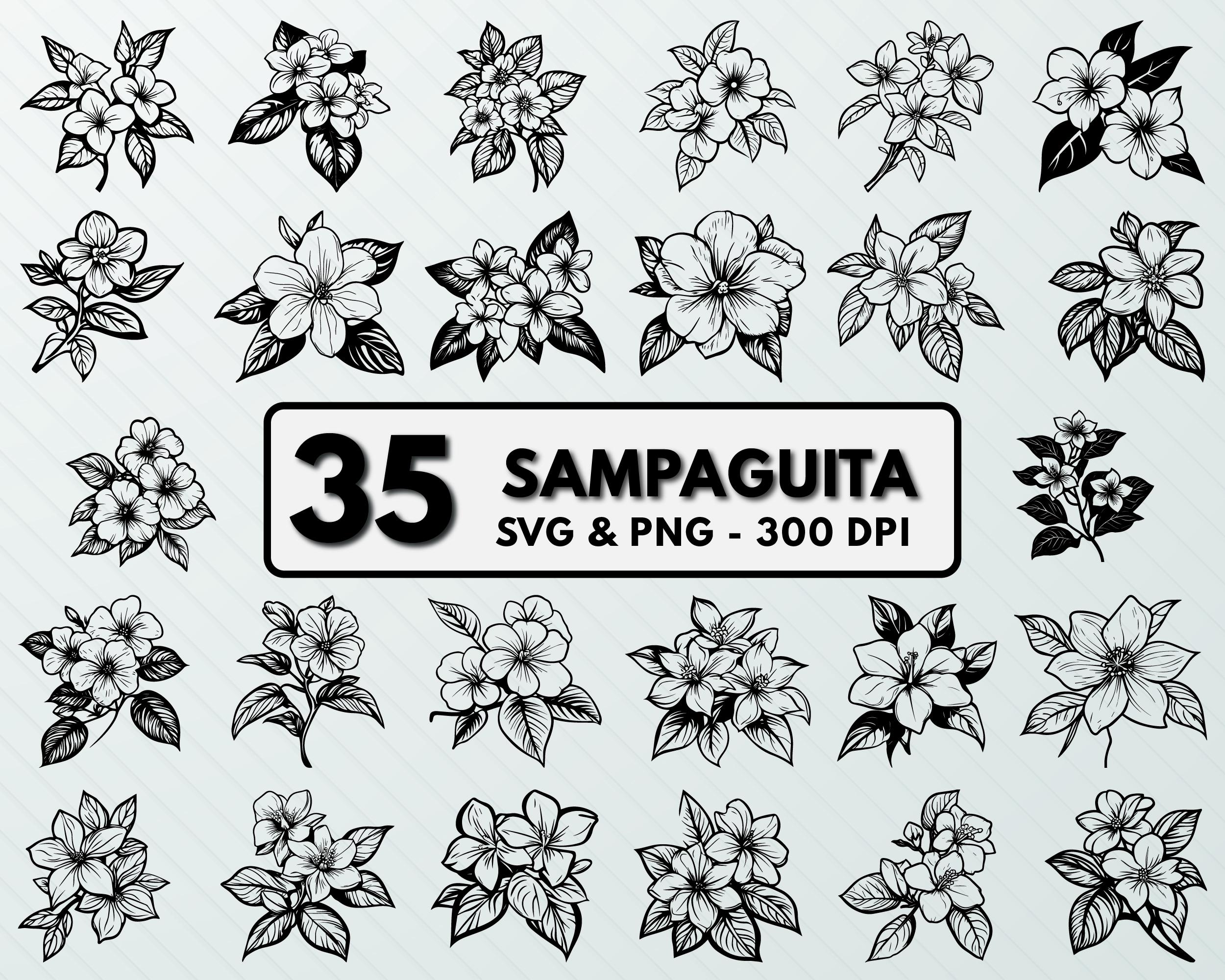 Sampaguita Flower SVG Bundle: Silhouette Cut File, PNG Clipart - Etsy