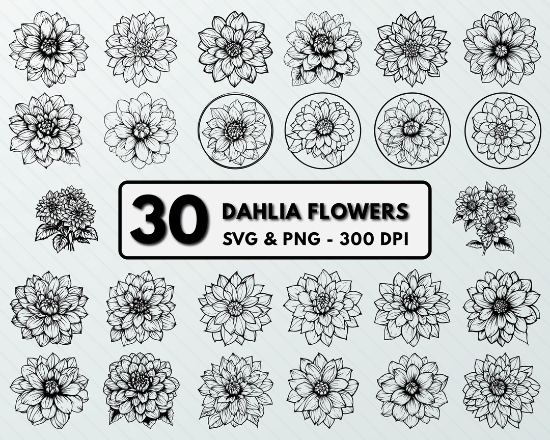 Dahlia Flower Svg Png Bundle, Dahlia Flower Silhouette, Dahlia Floral ...