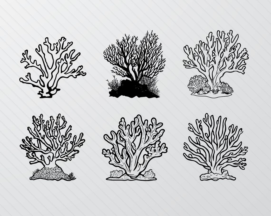 Coral SVG Bundle: Reef Silhouette, Sea Plant Clipart (PNG, Vector) - Etsy