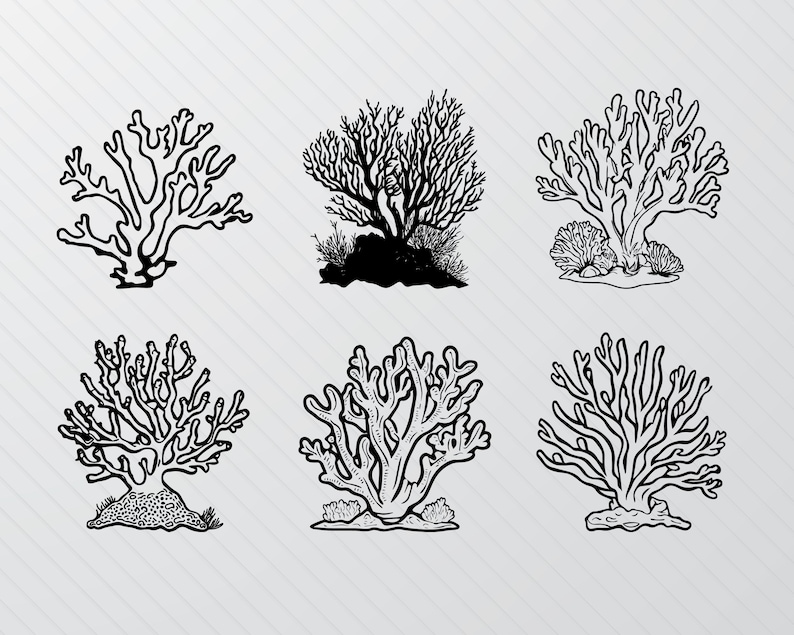 Coral SVG Bundle: Reef Silhouette, Sea Plant Clipart (PNG, Vector) - Etsy