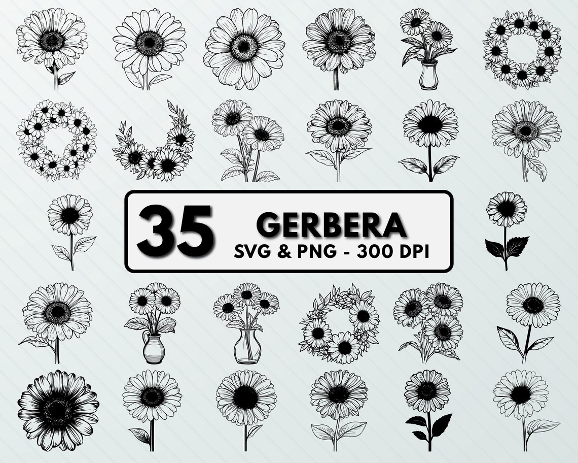 Gerbera Flower SVG PNG Bundle: Floral Clipart, Silhouette, Outline Art ...