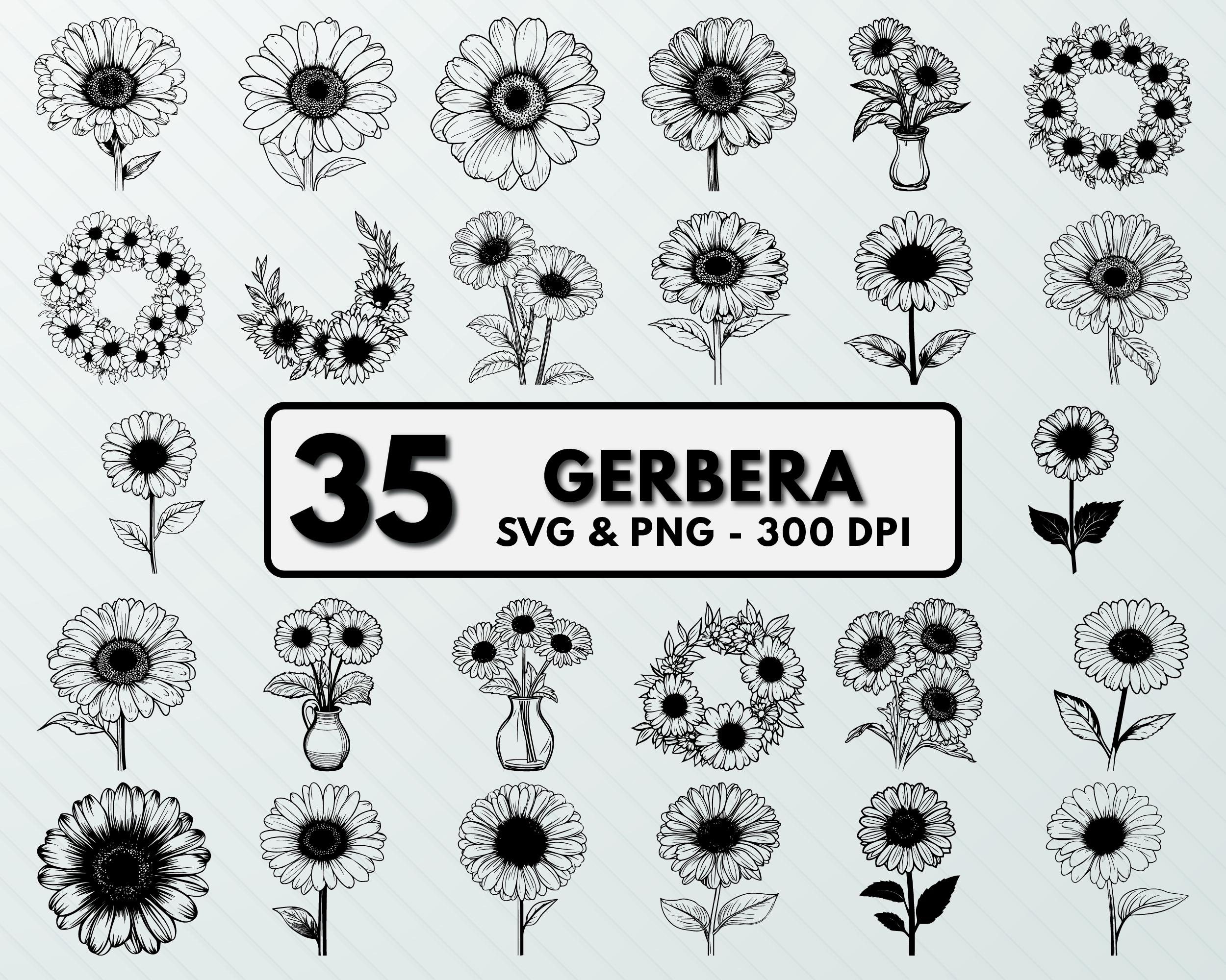 Gerbera Svg Png Bundle, Gerbera Clipart, Gerbera Flower Silhouette ...
