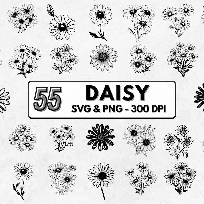 Daisy Svg - Etsy