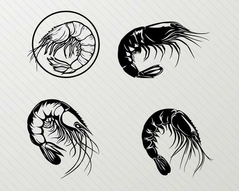 Shrimp SVG Bundle: Fish Silhouette, Line Art Clipart (PNG, SVG) - Etsy