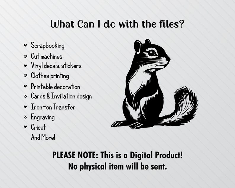 Chipmunk Silhouette SVG Bundle: Vector Art, Clipart, Decal (PNG) - Etsy