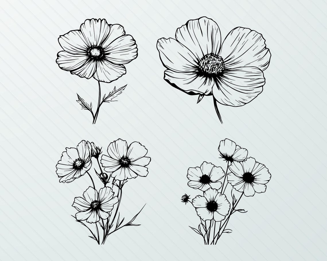 Cosmos Flower SVG PNG: October Birth Flower, Floral Vector (cut File ...