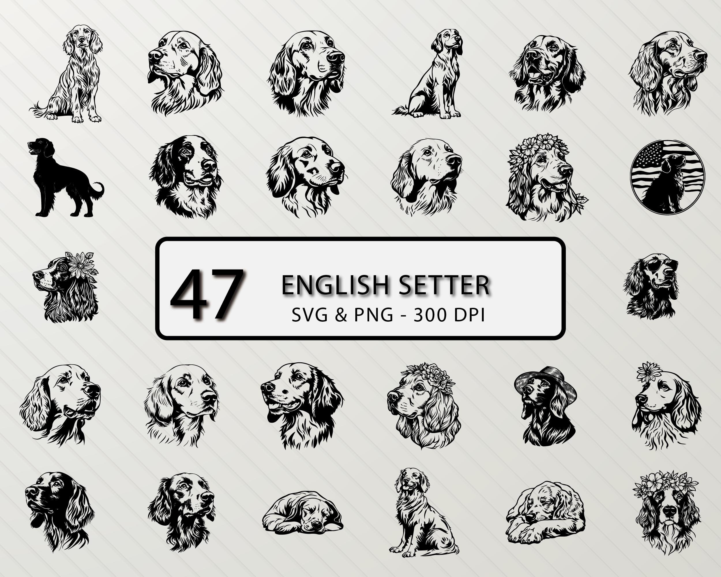 English Setter Svg Bundle, Setter Dog Silhouette, English Setter Dogs ...