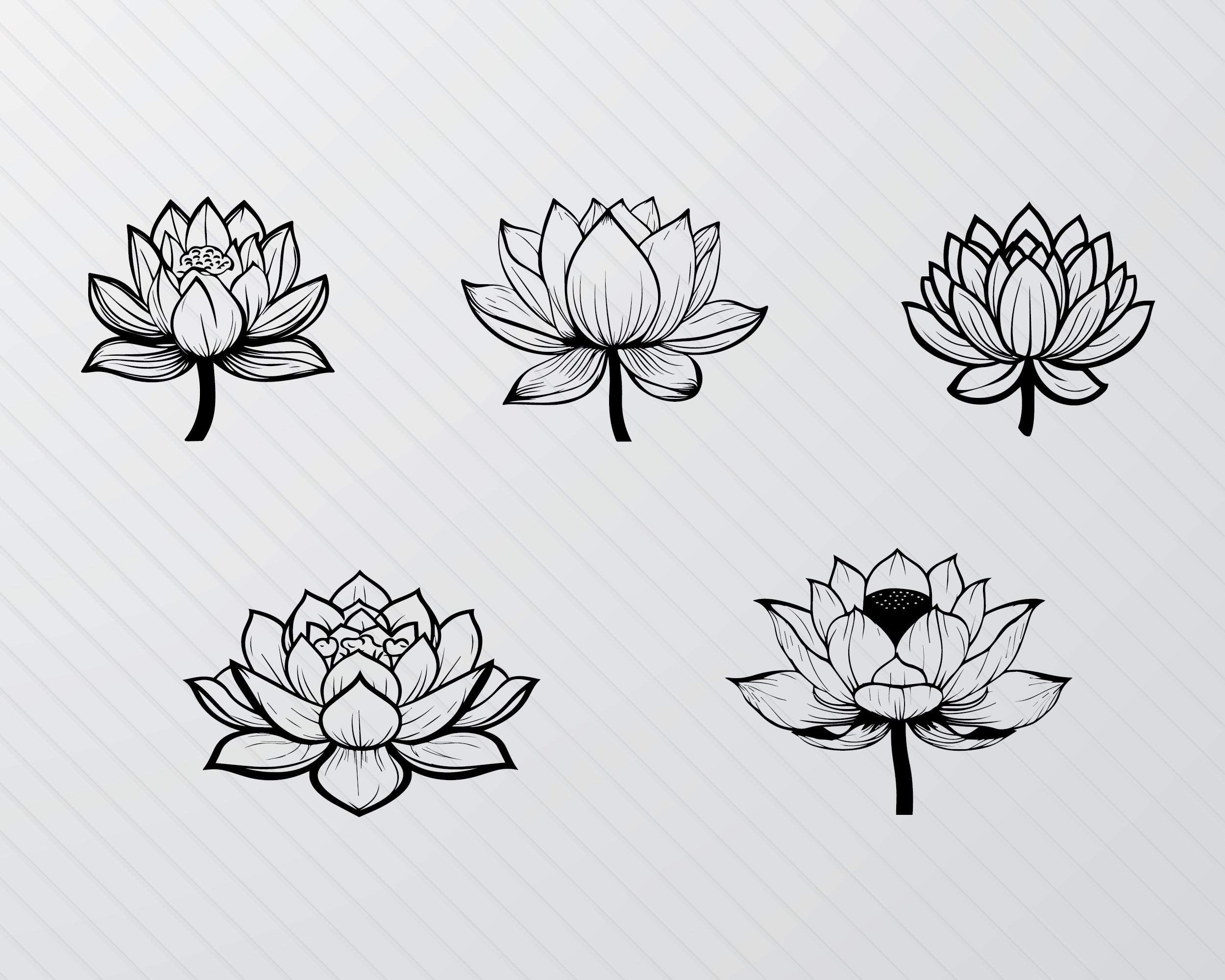 Lotus Flower SVG Bundle: Silhouette Clipart, Cut Files (PNG, Vector) - Etsy