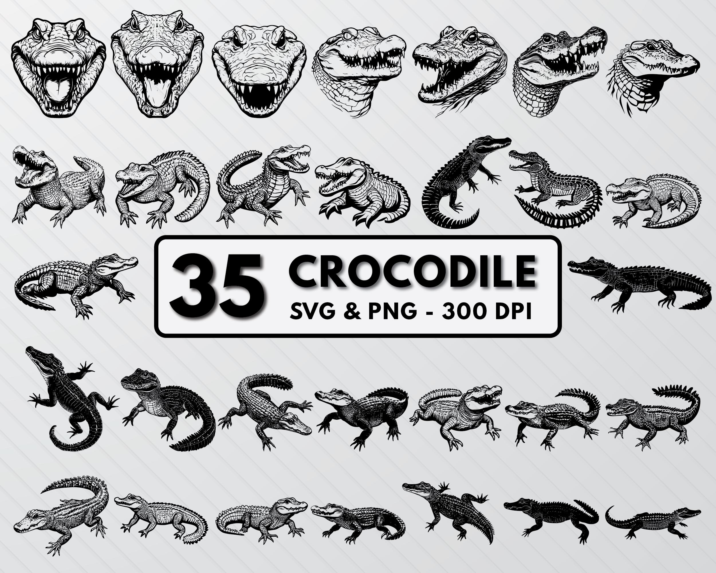 Crocodile Svg Bundle, Crocodile Silhouette Art, Crocodile Png Vector ...