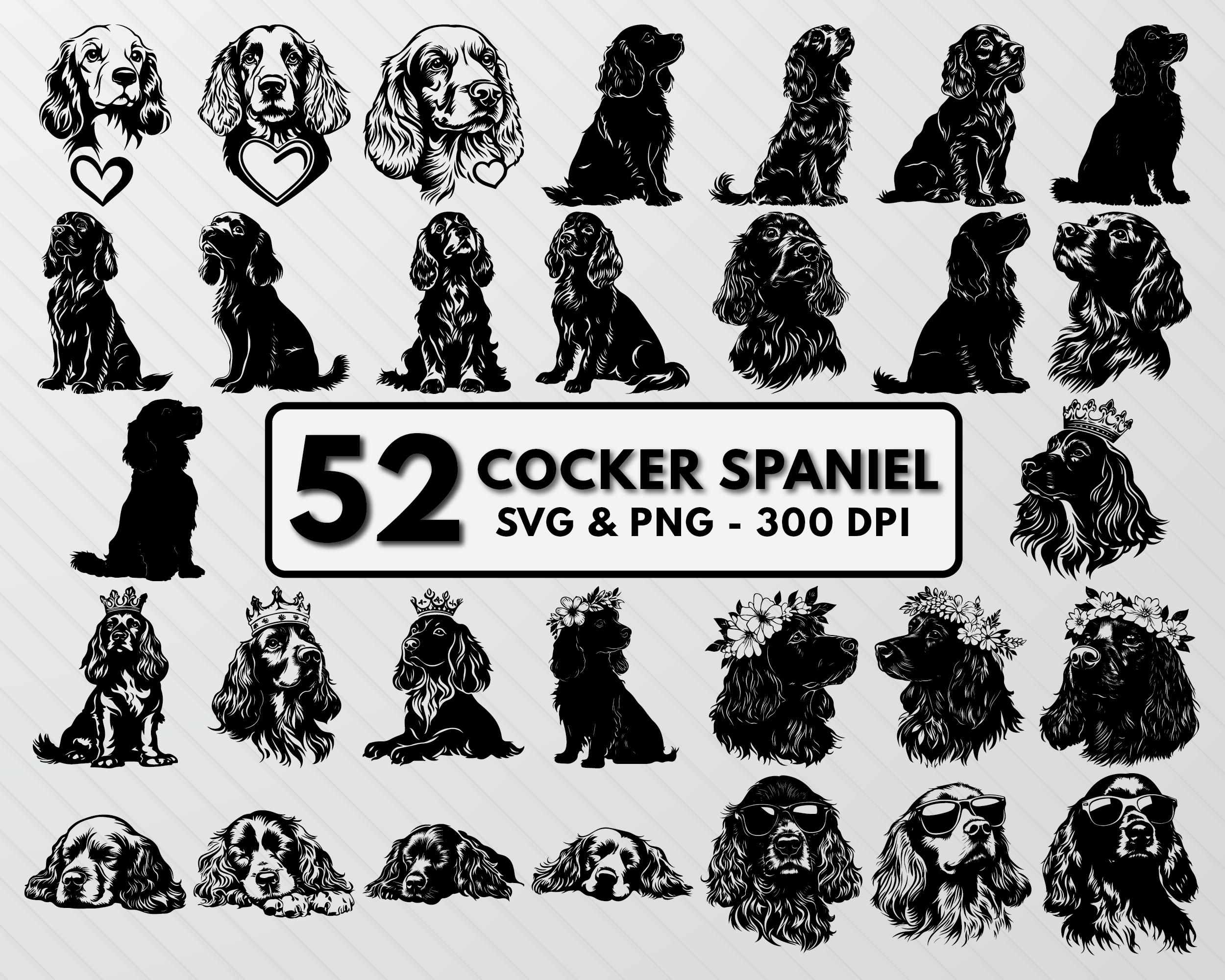 Cocker Spaniel Silhouette: Dog Vector Clipart (SVG, PNG) - Etsy