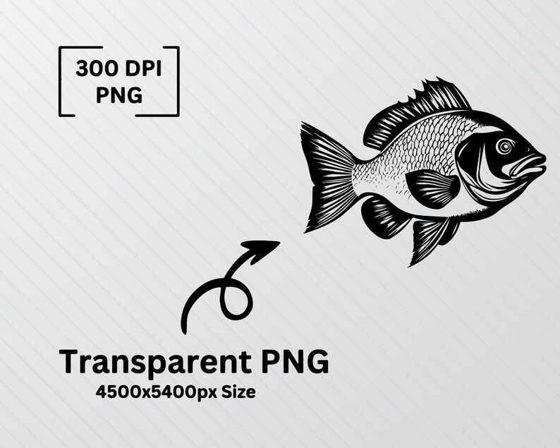 Bluegill Svg Bundle, Bluegill Fish Silhouette, Bluegill Sunfish Decal ...