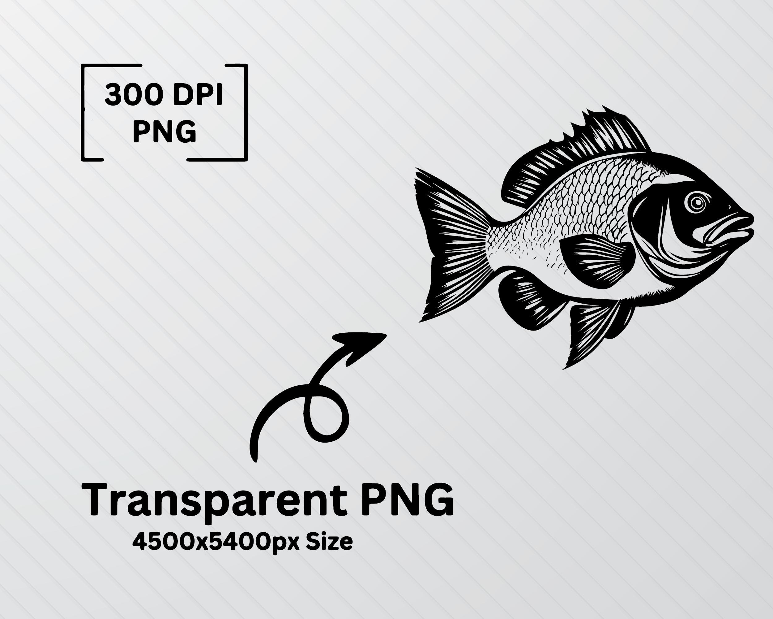 Bluegill Svg Bundle, Bluegill Fish Silhouette, Bluegill Sunfish Decal ...