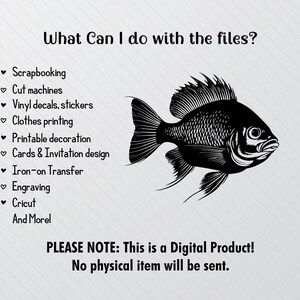 Bluegill Svg Bundle, Bluegill Fish Silhouette, Bluegill Sunfish Decal ...