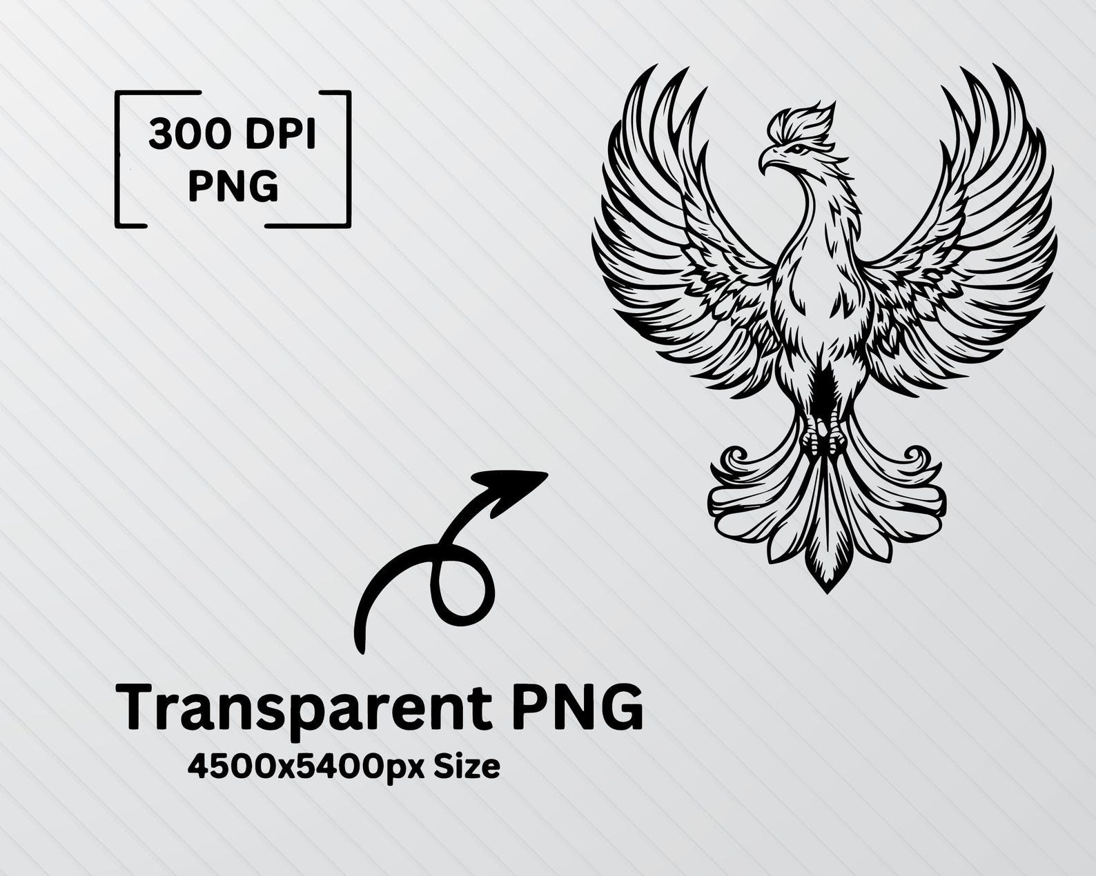 Phoenix Silhouette Vector Bundle: Bird Decal Outline (SVG, PNG) - Etsy